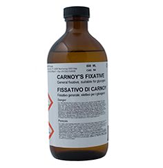 FIXATION & TRANSPORT • Consommables • Catalogue • MM France • Microm ...